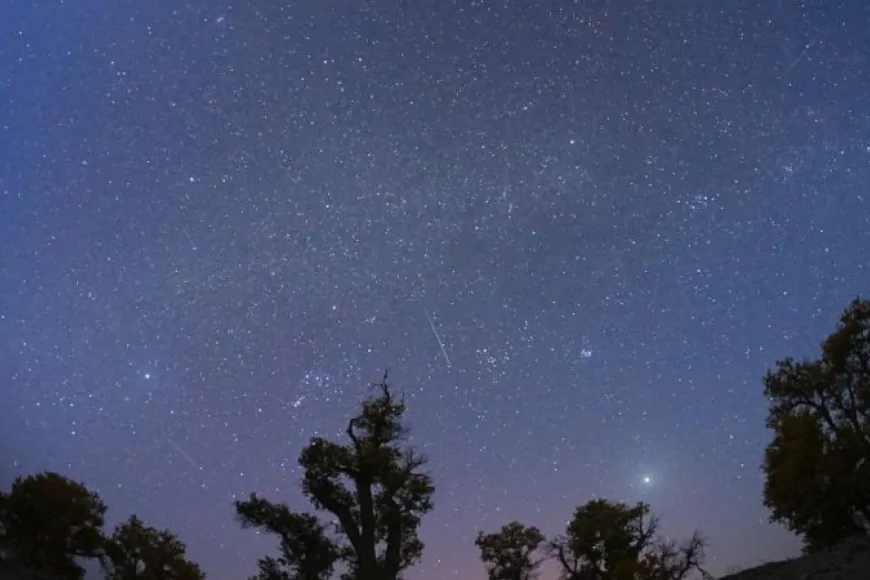 The Orionid meteor shower peaks tonight: How to see it - VENN (Virginia ...