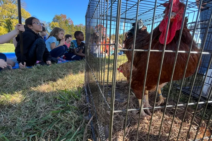 PHOTOS: Powhatan third graders learn about agriculture on ‘Farm Day ...
