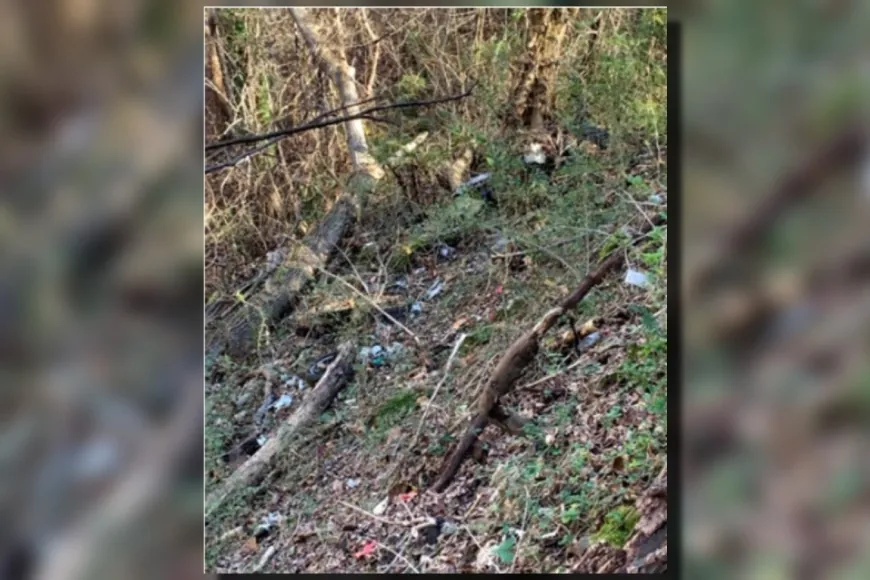 National Park Service asks for public comment on plans for Chesterfield ...