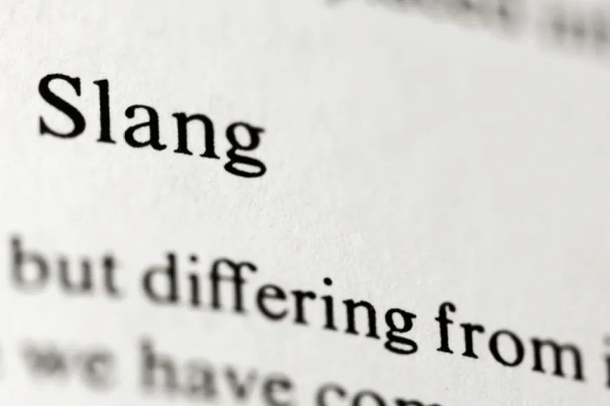 See the 10 most searched for slang words of 2024 - VENN (Virginia ...