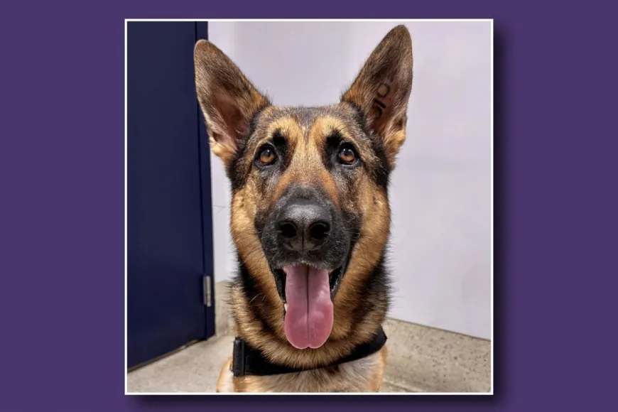 One of Richmond International Airport’s own makes it onto 2025 TSA ...